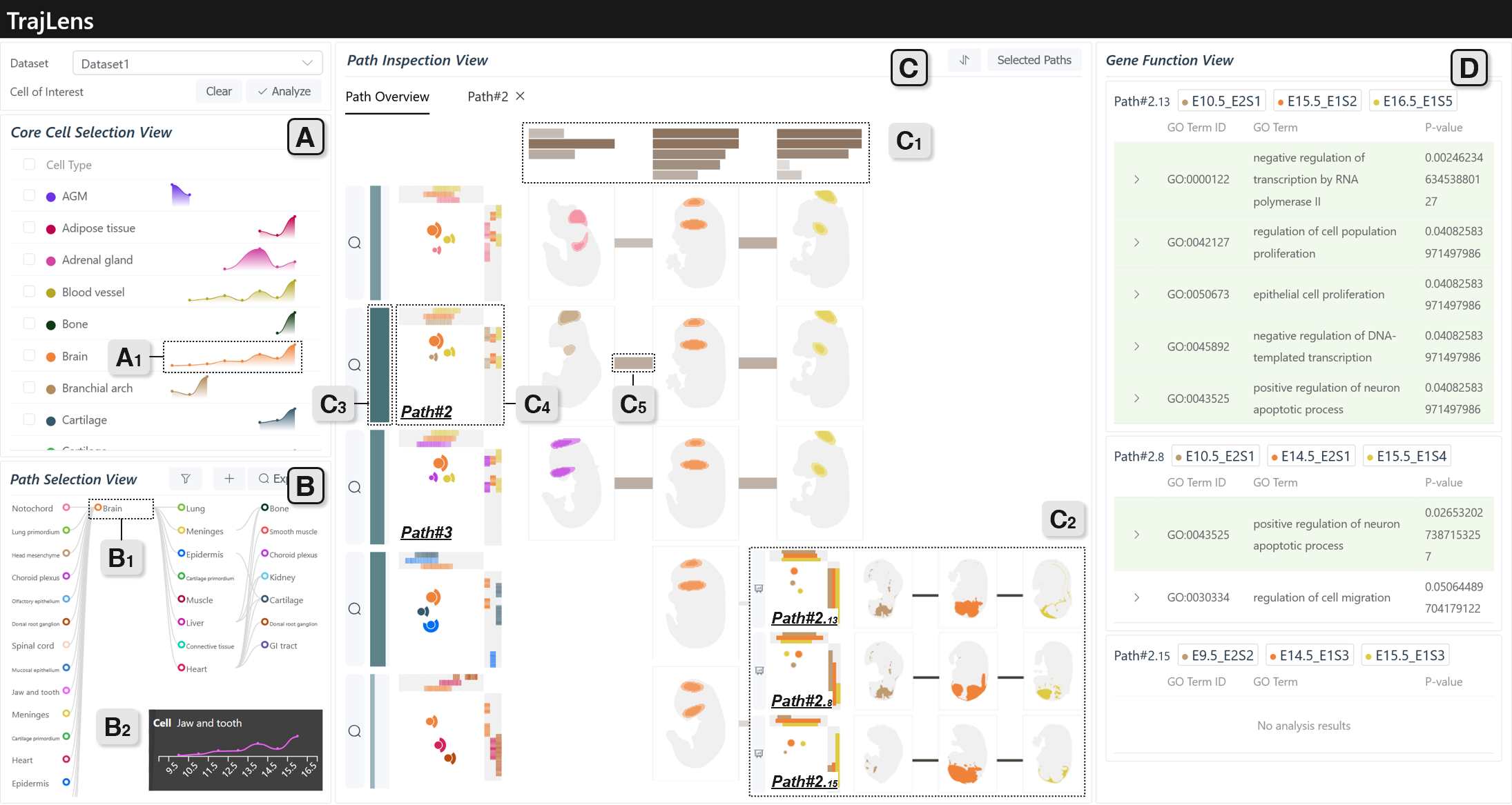 Homepage - Qipeng Wang